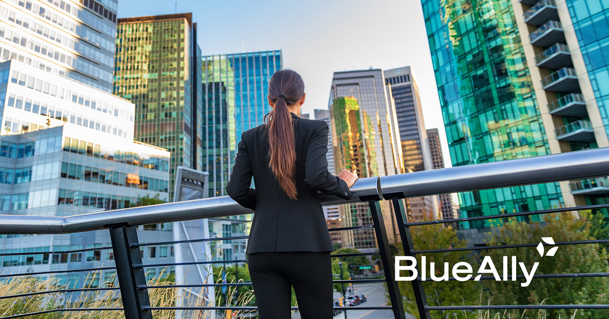 BlueAlly | Solutions